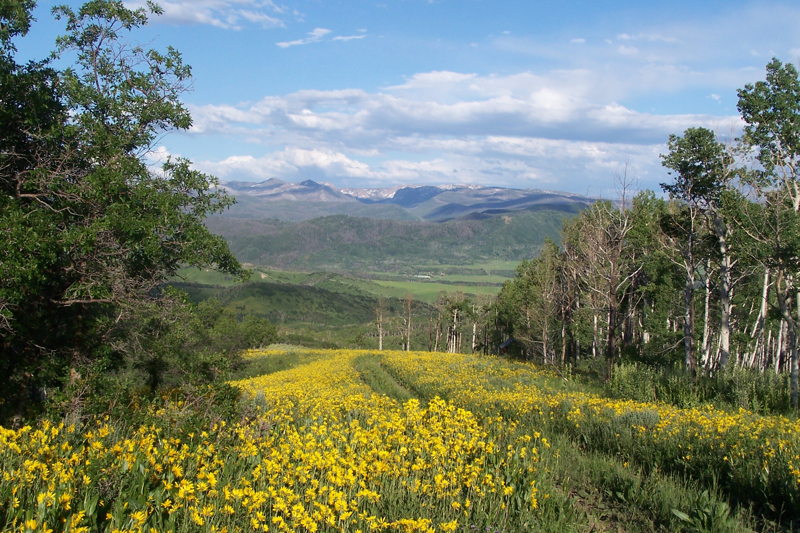 The Vision – The Murphy-Larsen Ranch