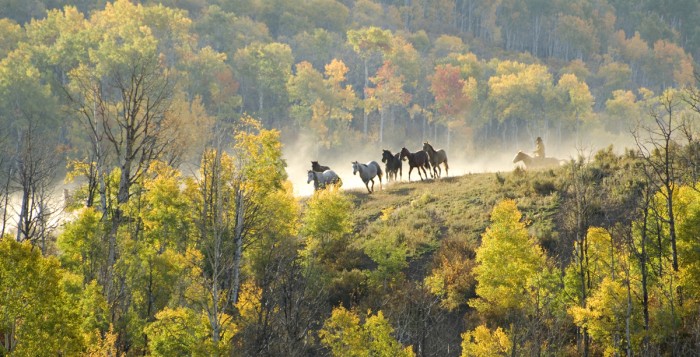A Brief History of Clark – The Murphy-Larsen Ranch